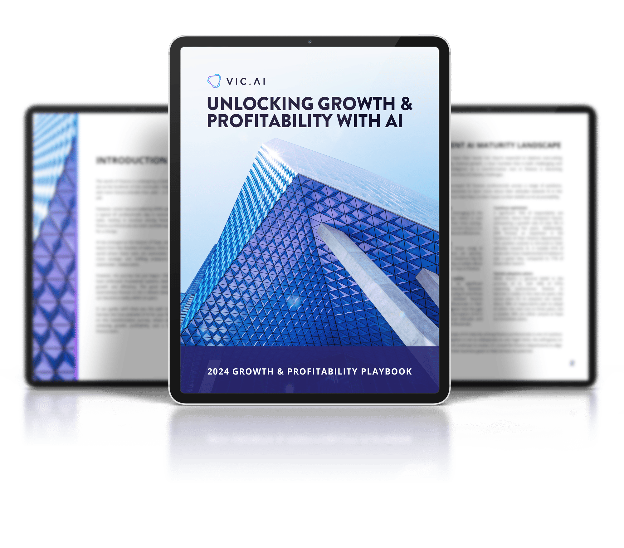 Access Your 2024 Growth and Profitability Playbook